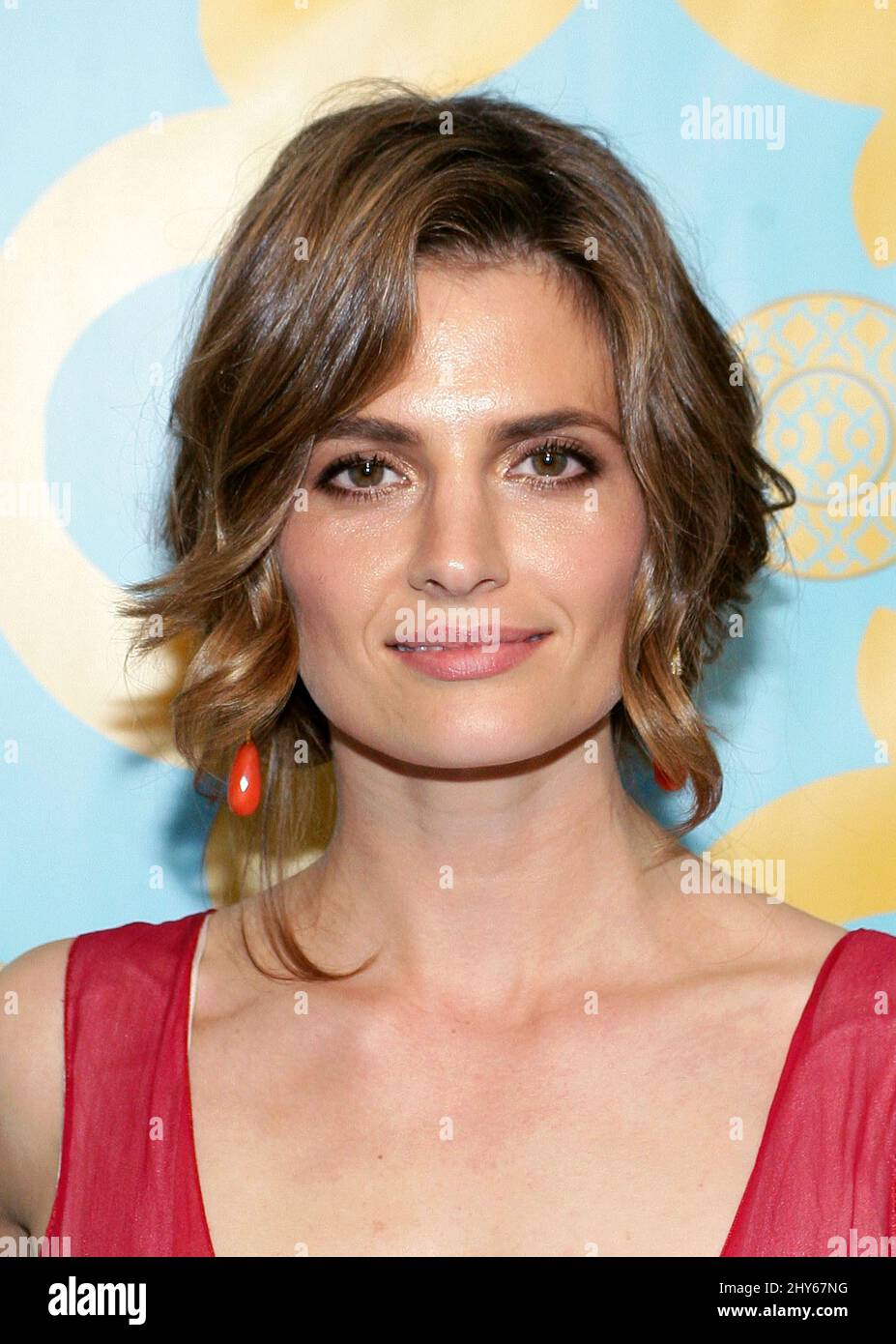 Stana Katic attends the HBO After Party for The Golden Globe Awards ...