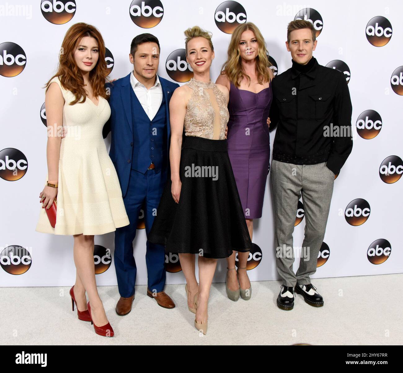 Elena Satine, Nick Wechsler, Karine Vanasse, Emily VanCamp and Gabriel ...