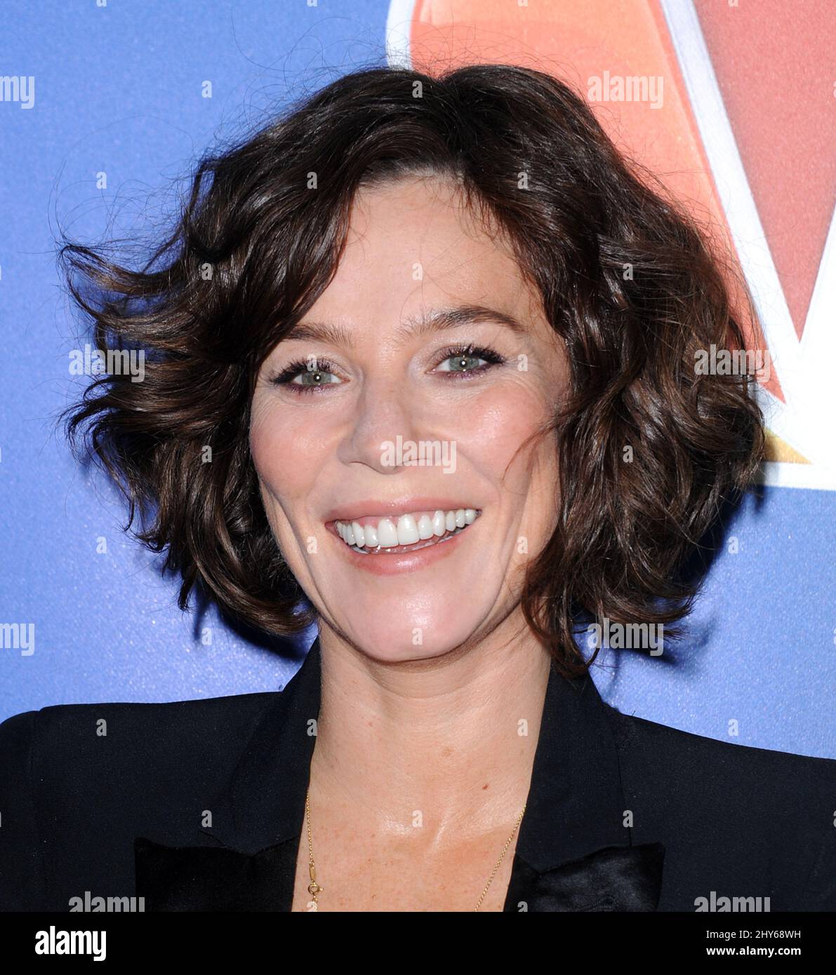 Ana Friel arriving for the NBCUniversal TCA Winter Press Tour held at ...