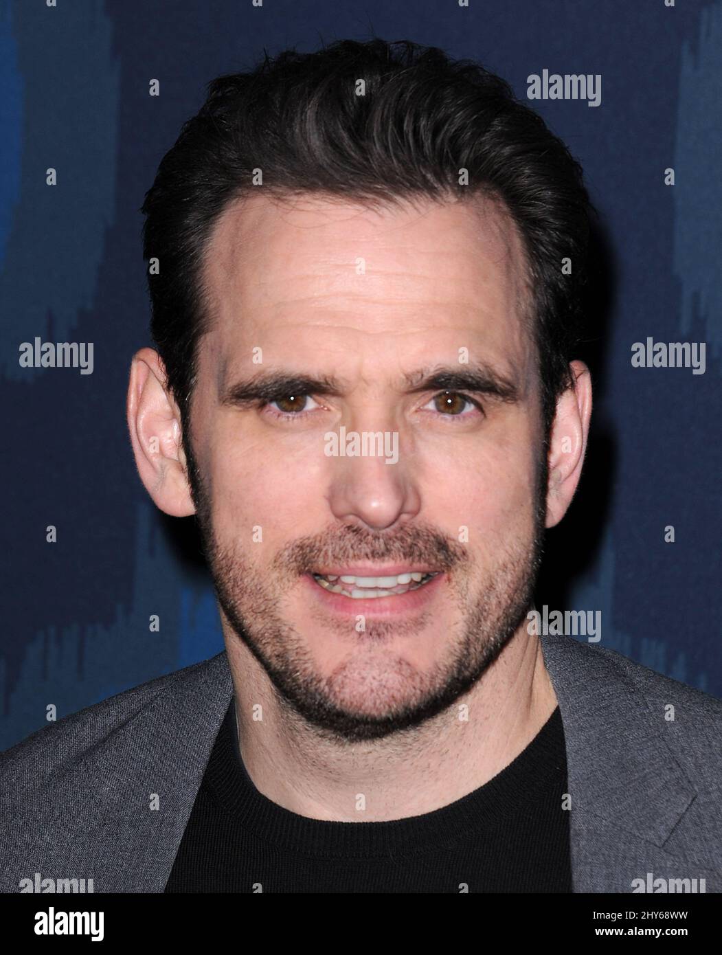 Matt Dillon attending the Fox Winter TCA All-Star Party held at The ...