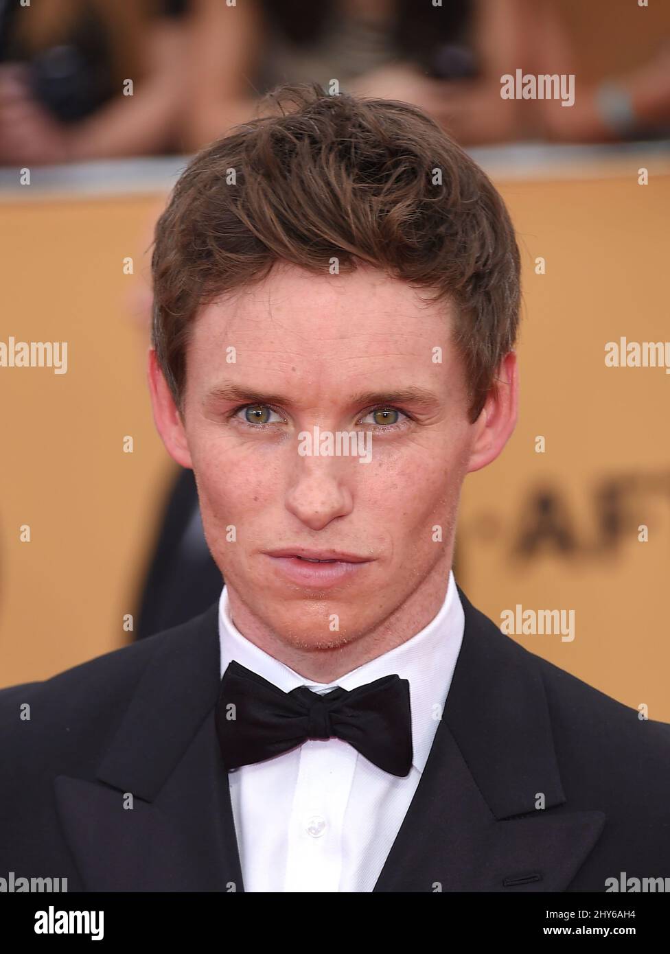 Eddie Redmayne attending the 21st Annual Screen Actors Guild Awards ...