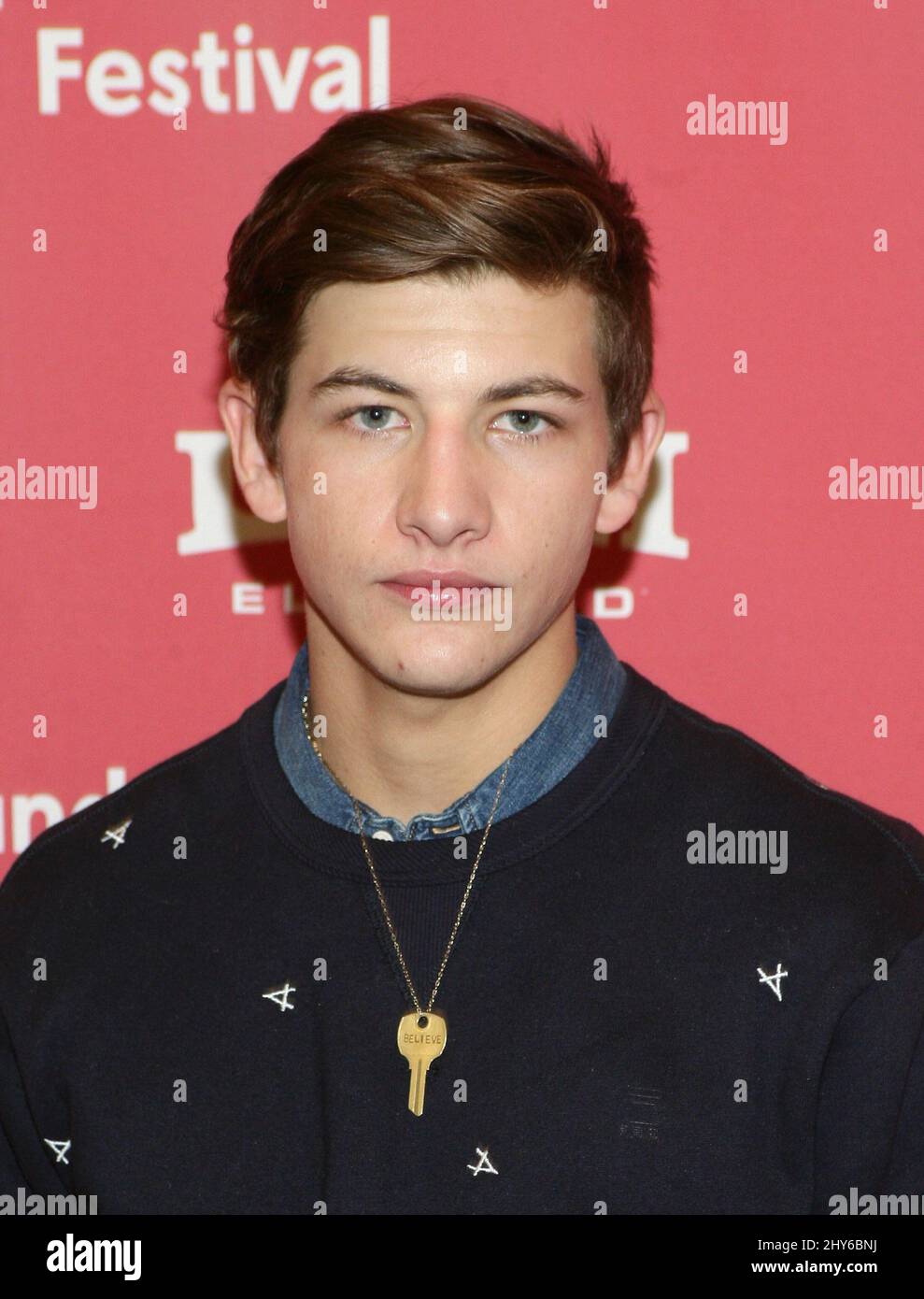 Tye Sheridan attending the 2015 Sundance Film Festival Premiere of THE ...