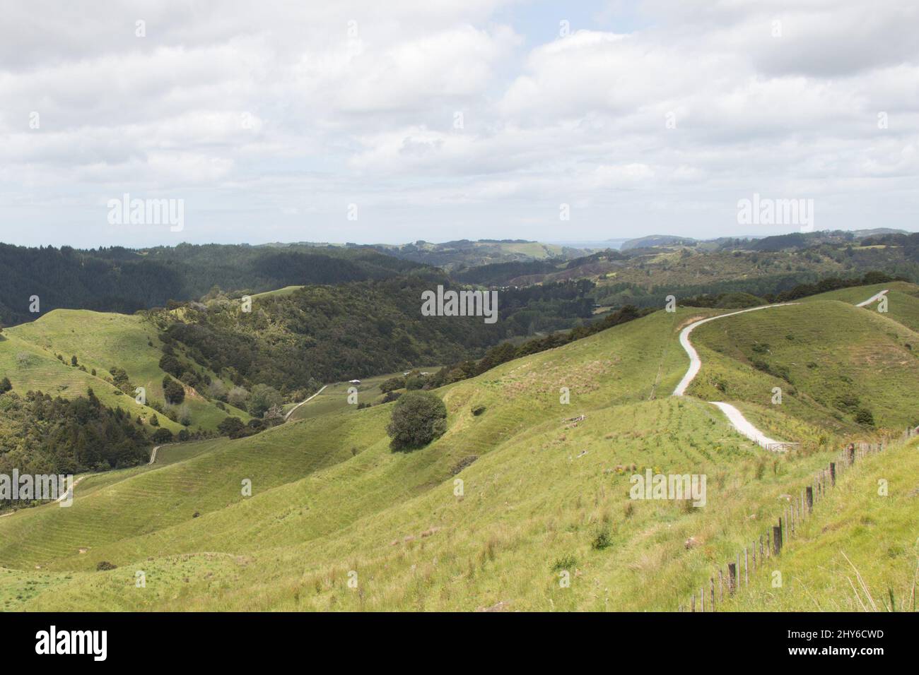 The view of path between green hills at Puhoi Valley, New Zealand Stock ...