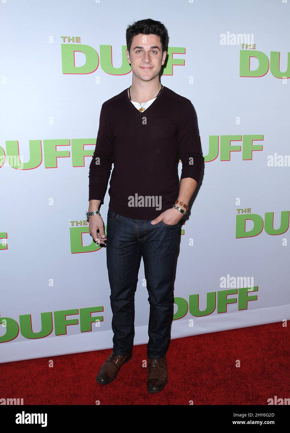 David Henrie arriving for The Duff fan screening held at TCL Chinese 6 ...