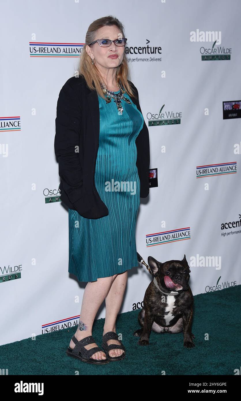 Gary davidson hi-res stock photography and images - Alamy