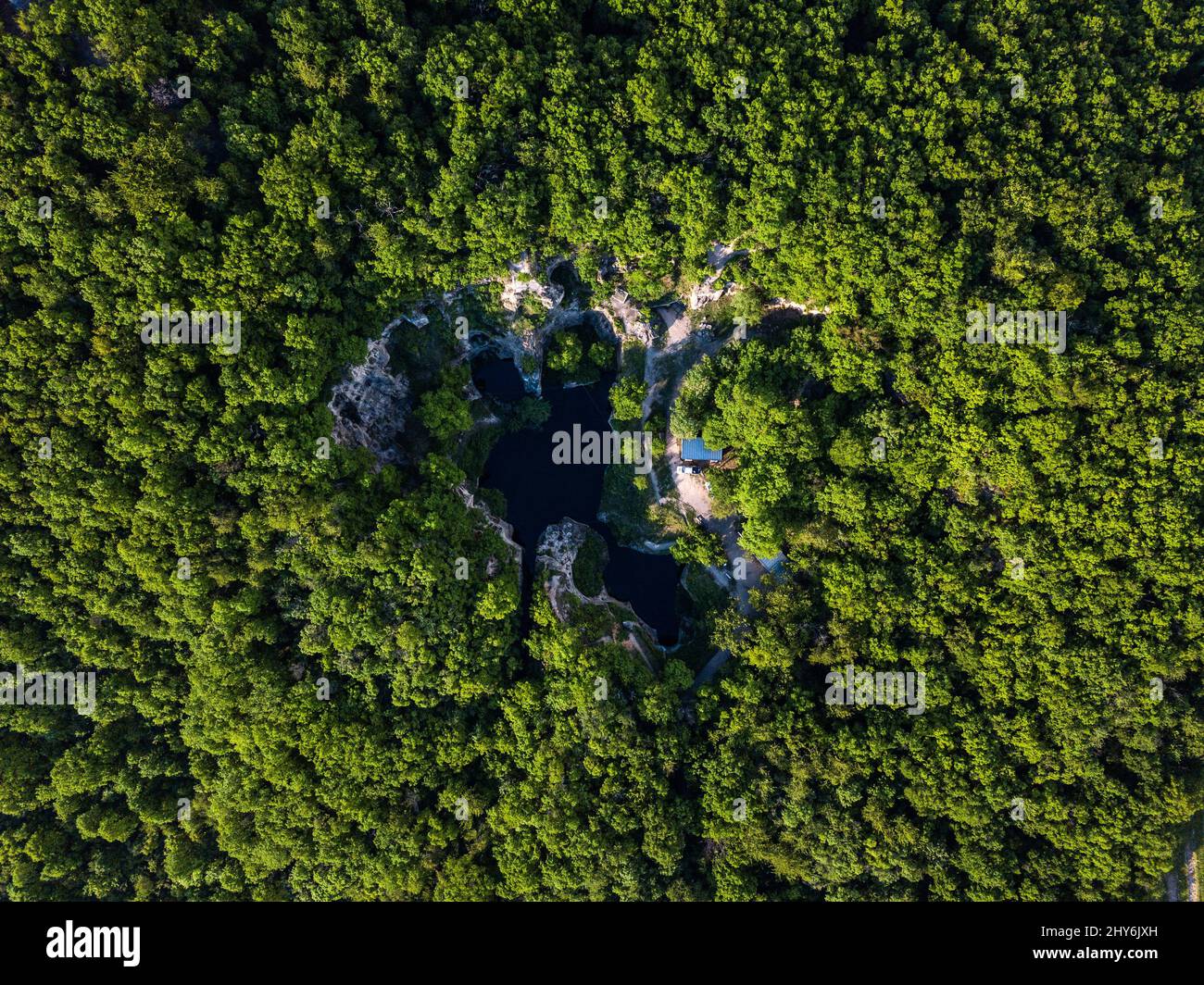 Bird eye view of a forest in daylight Stock Photo - Alamy