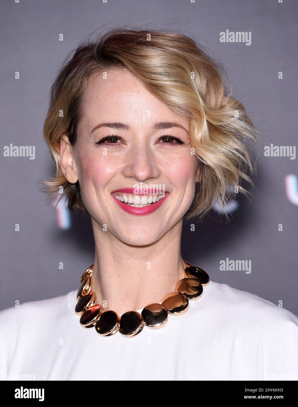 Karine Vanasse attending the Los Angles premiere of 'Focus' Stock Photo ...