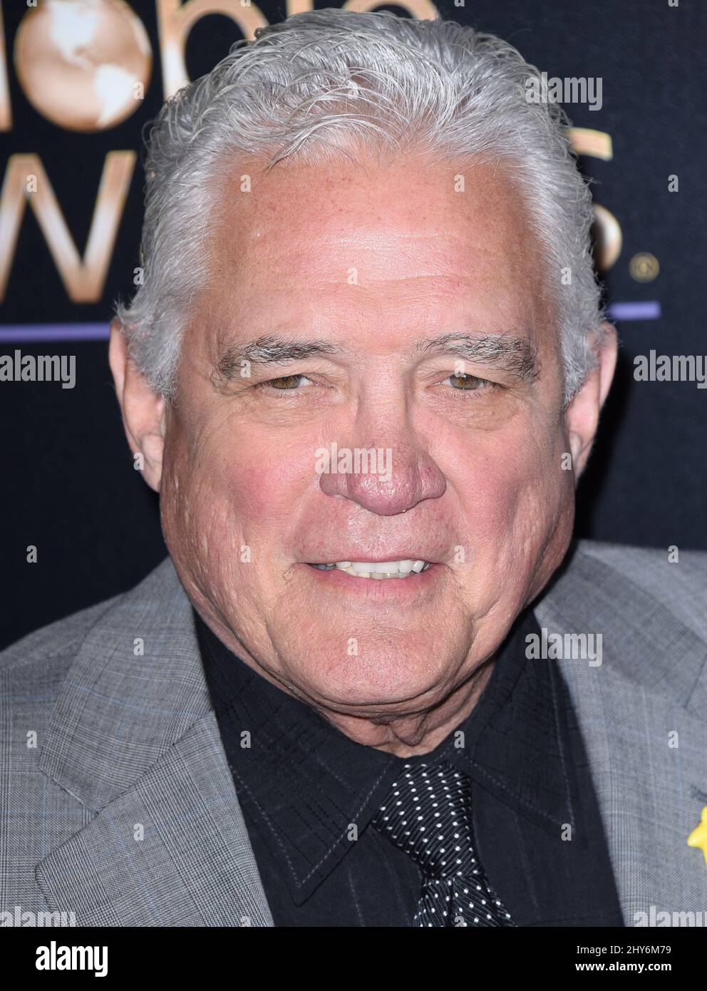 G.W. Bailey attending the The 3rd Annual Noble Awards Stock Photo - Alamy