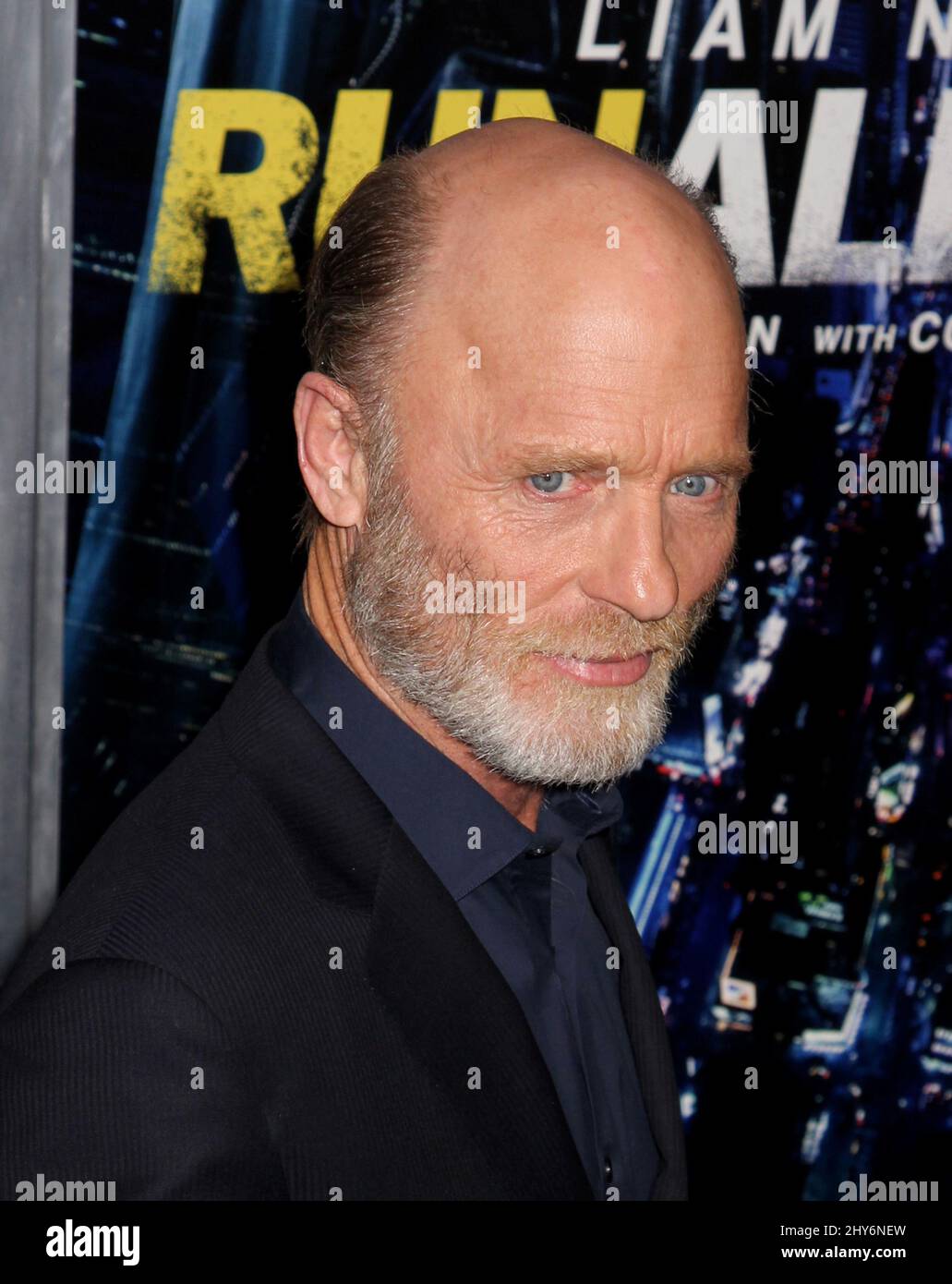 Ed Harris attending the premiere of "Run All Night" in New York Stock ...