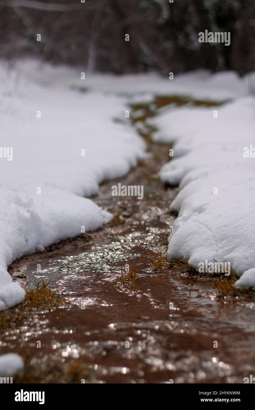 Vertical closeup shot of snow on water Stock Photo - Alamy