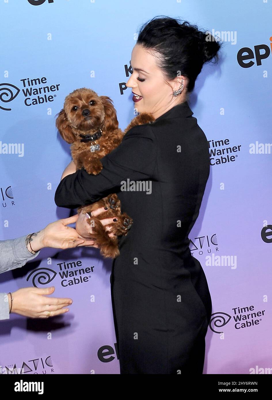 Katy perry with her dog butters hi-res stock photography and images - Alamy