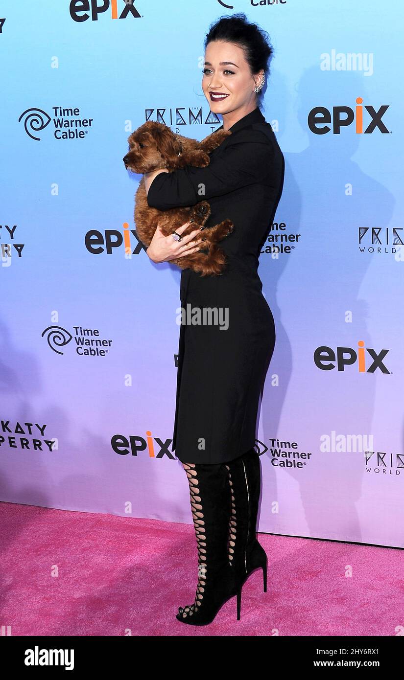 Katy Perry, her dog Butters attending the Prismatic World Tour Premiere ...