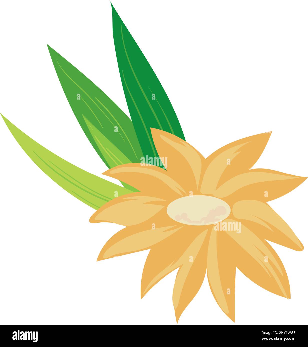 golden flower design Stock Vector Image & Art - Alamy