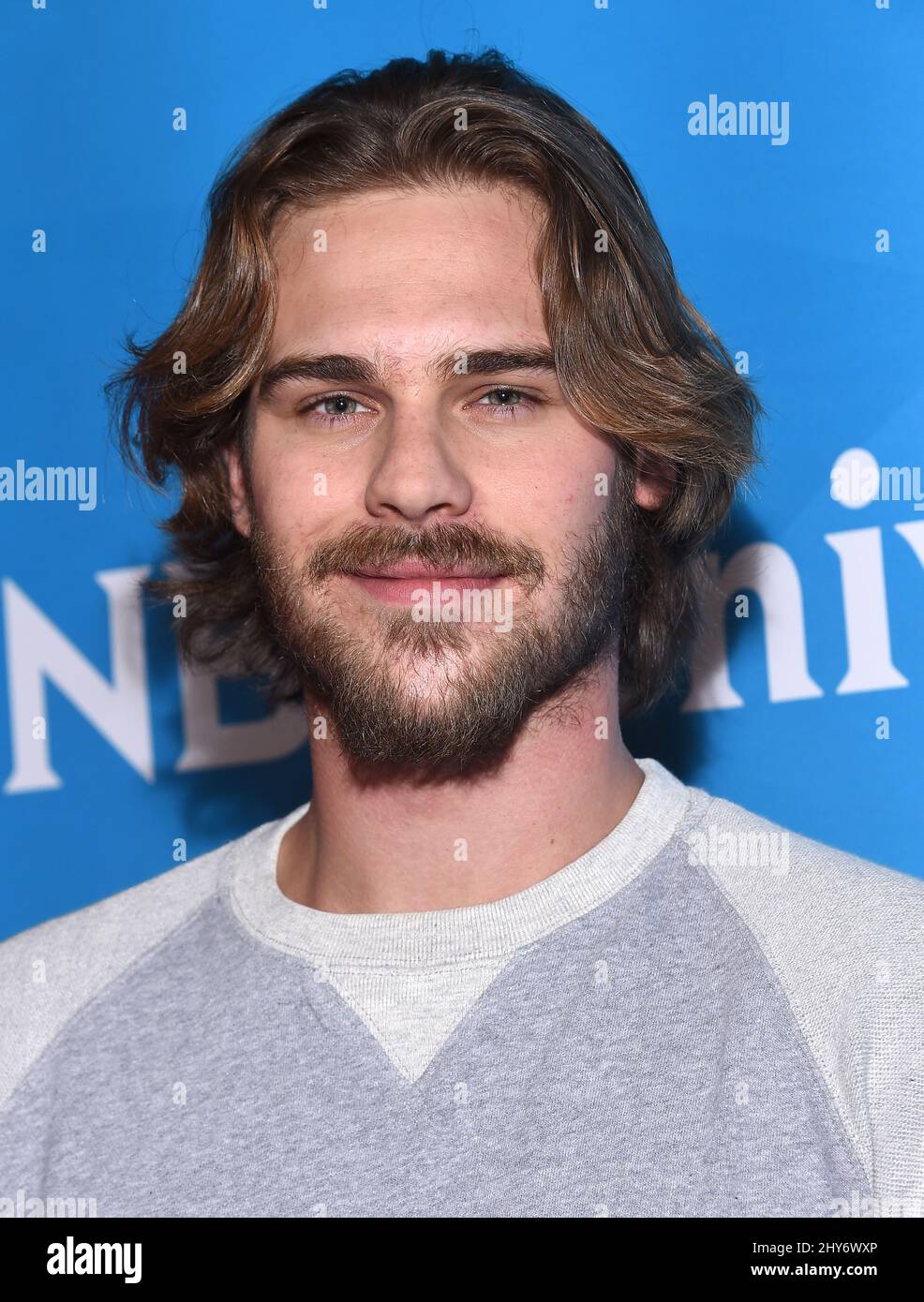 Grey damon hi-res stock photography and images - Alamy