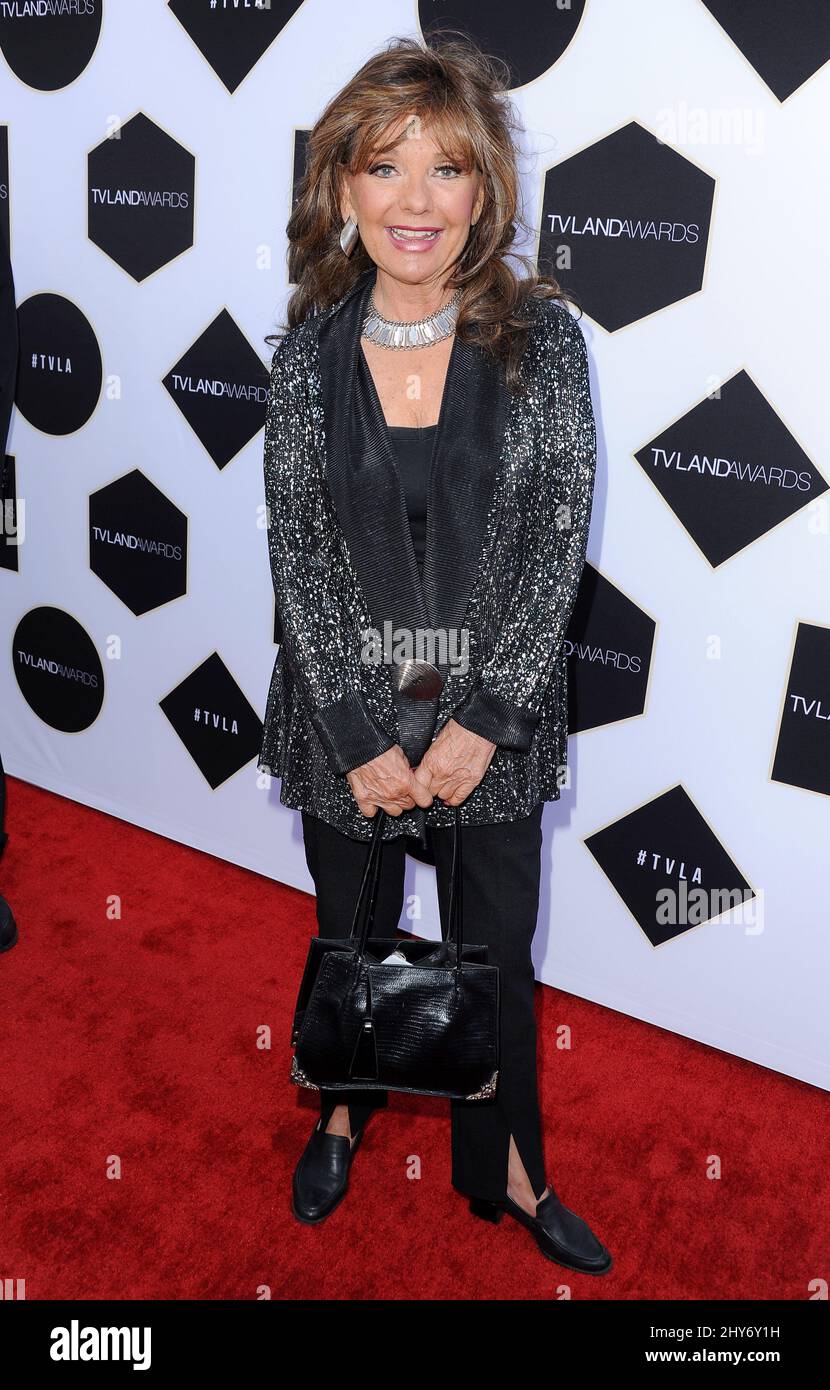 "dawn wells" hi-res stock photography and images - Alamy