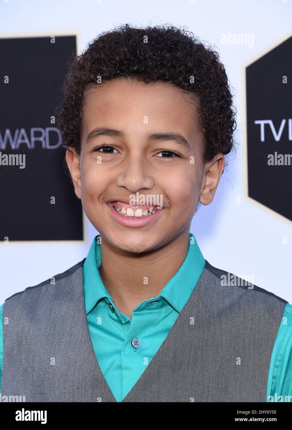 Tyree Brown attending the 2015 TV LAND Awards held at Saban Theatre in ...