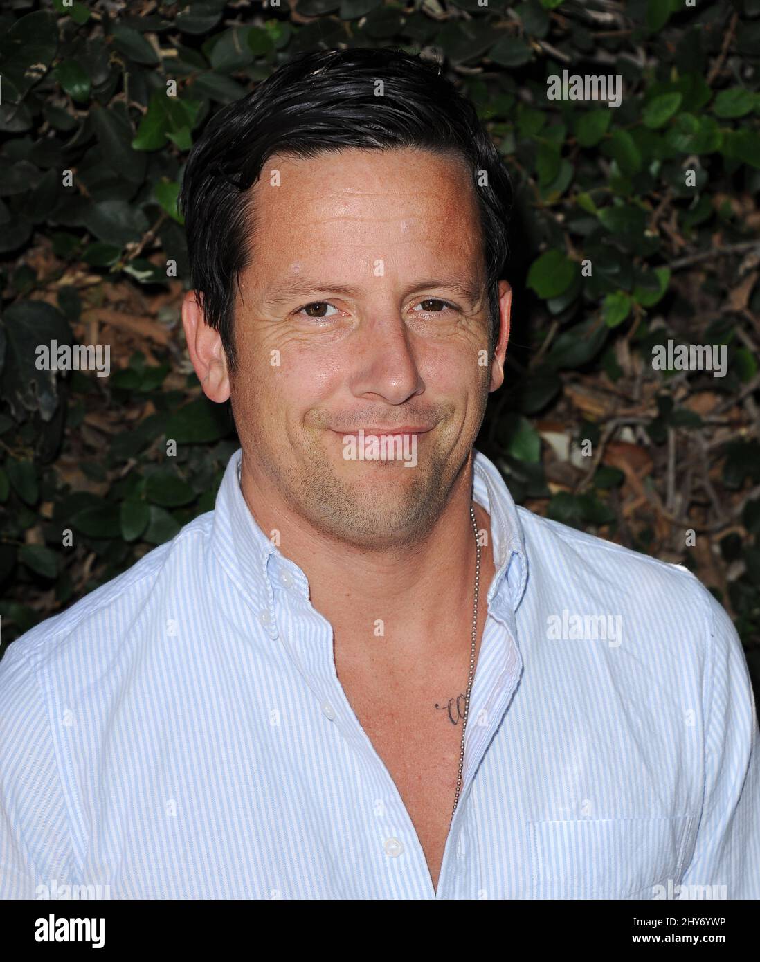 Beagle freedom project hi-res stock photography and images - Alamy