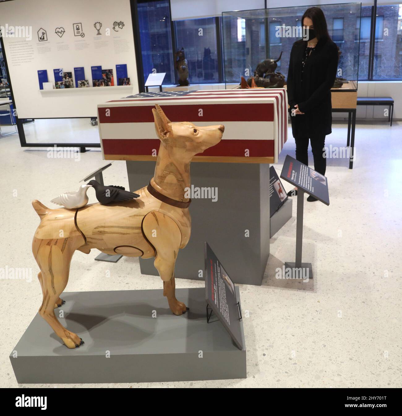 New York, New York, USA. 14th Mar, 2022. A museum goer views, ""˜Under ...