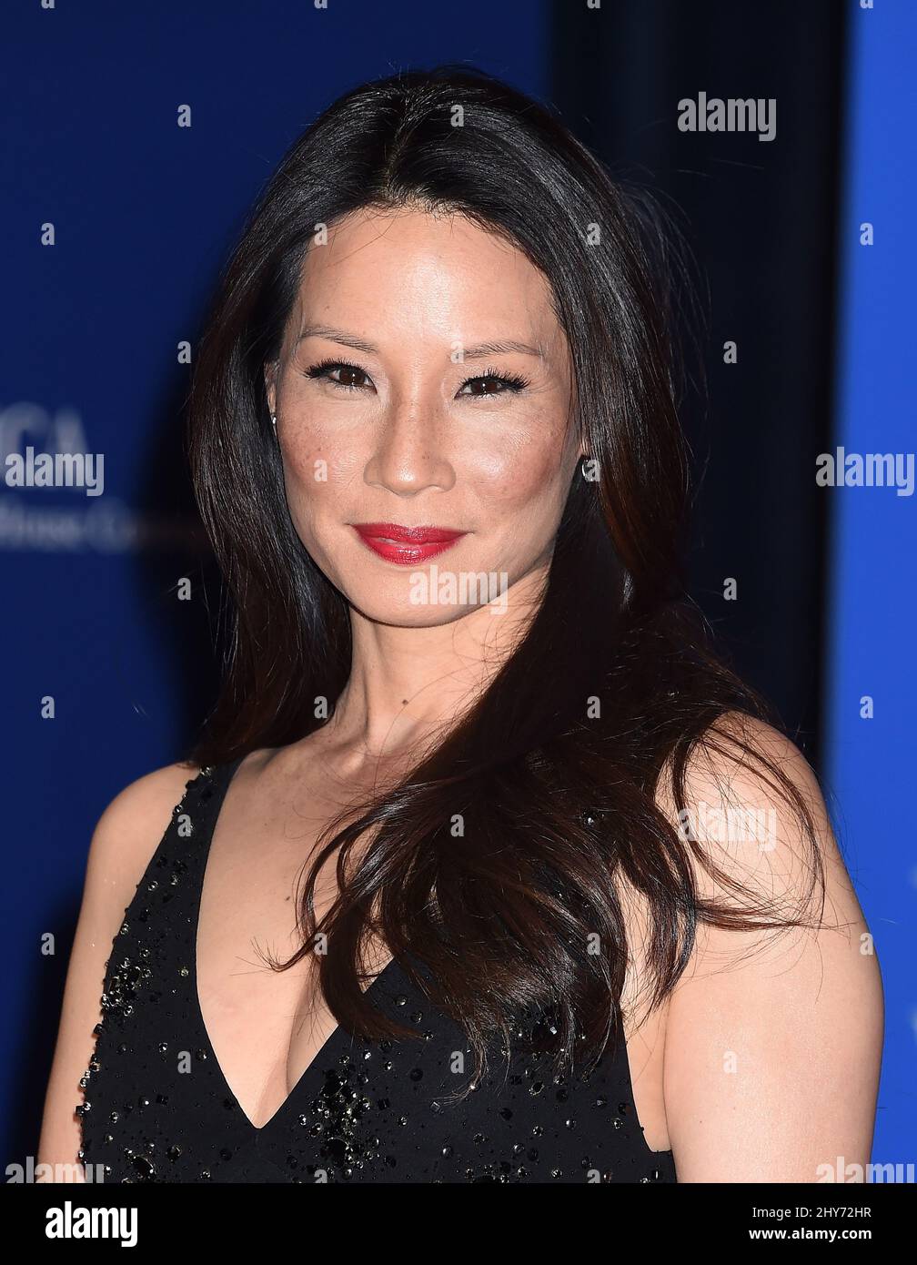 Lucy Liu attends the White House Correspondents Association Dinner 2015 ...