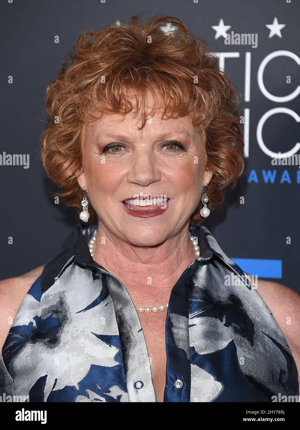 Becky Ann Baker attends the fifth annual Critic's Choice Television ...