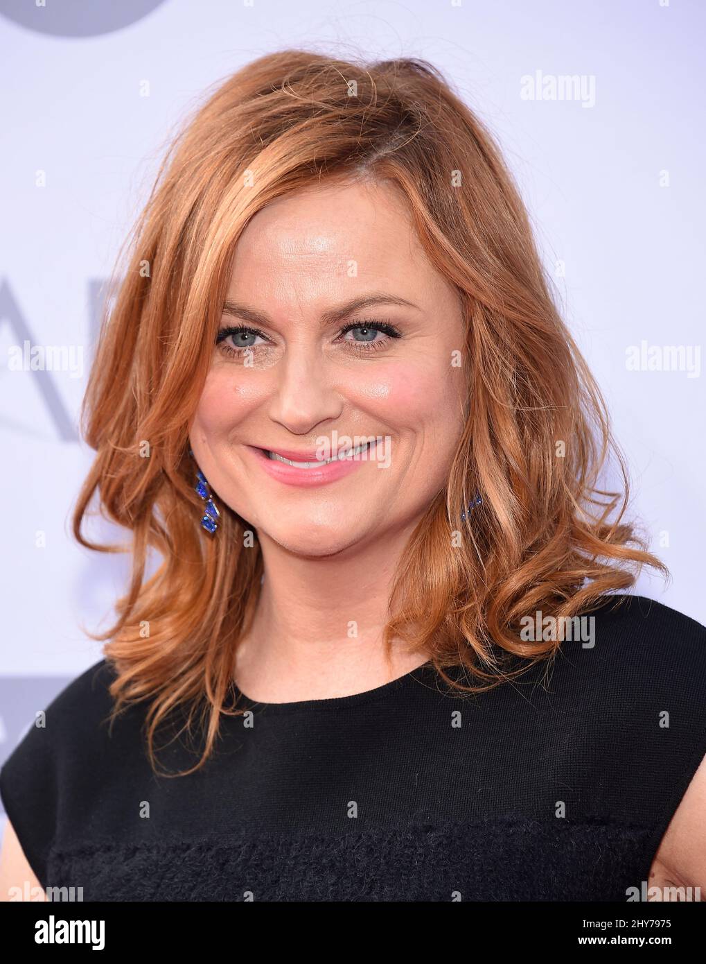 Amy Poehler the AFI Life Achievement Award Gala Honoring Steve Martin ...