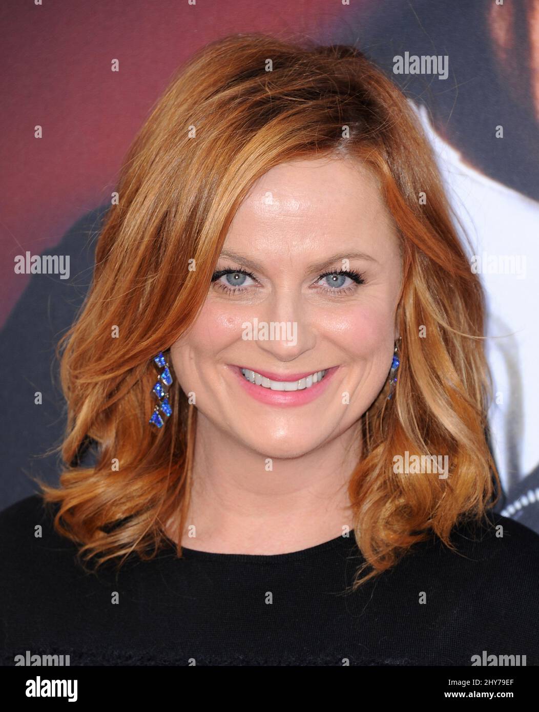 Amy Poehler attending the AFI Life Achievement Award Gala Honoring ...