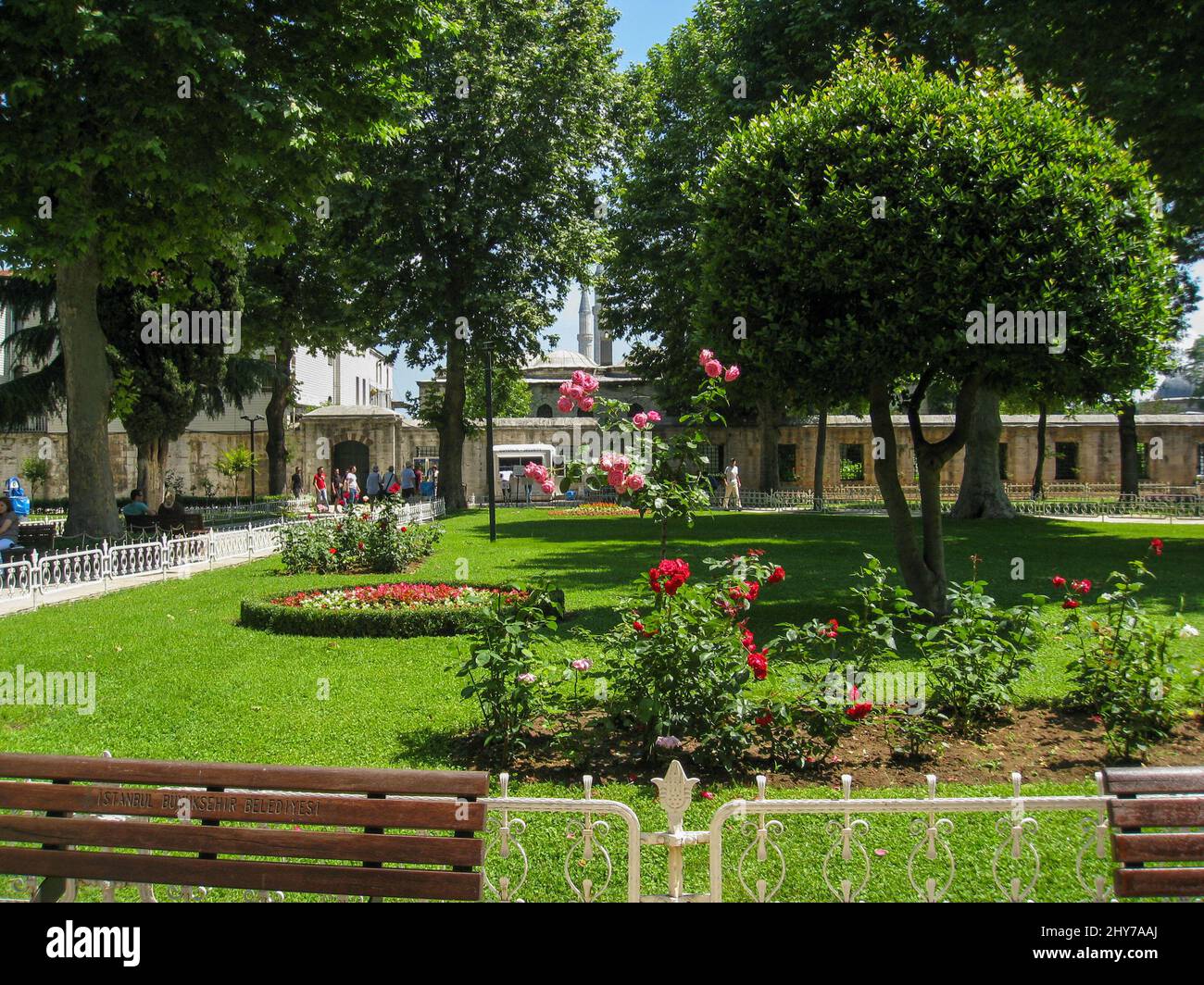 Garden with rose flowers in Istanbul, Turkey Stock Photo - Alamy