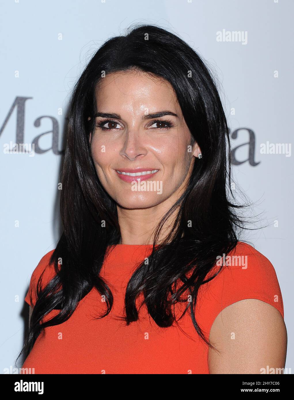 Angie Harmon attends the Women In Film 2015 Crystal + Lucy Awards ...