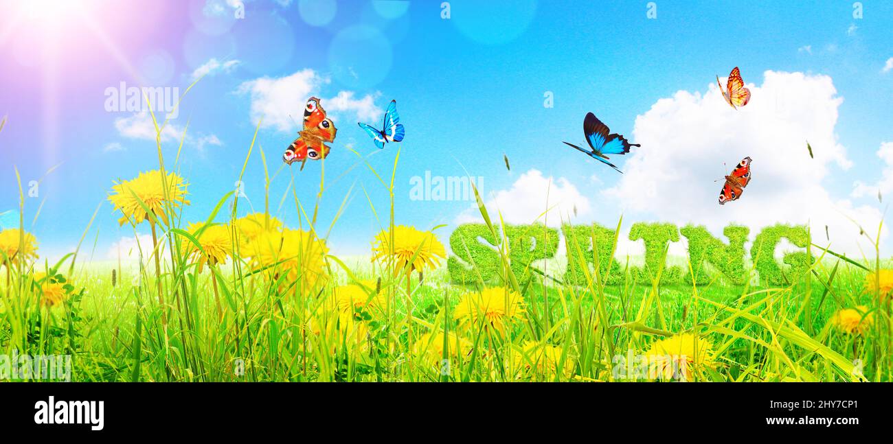 Decorative inscription with letters. Creative spring concept Stock ...