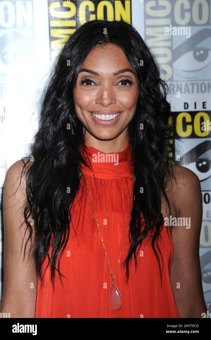 Tamara Taylor attending the "Justice League: Gods and Monsters" cast ...