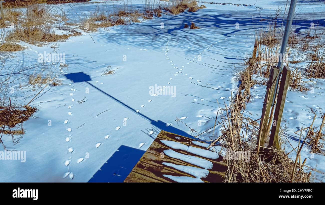 From a small pier a shadow of a bird house is on a frozen stream with ...