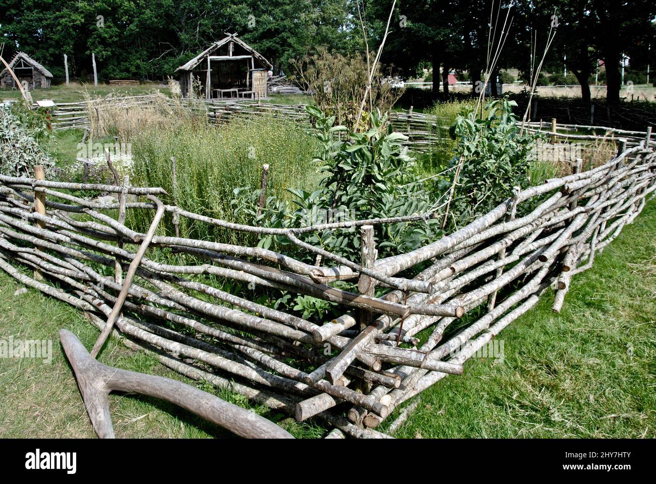 Recreation of Bronze Age farming at Vitlycke Museum in Tanum, Sweden ...