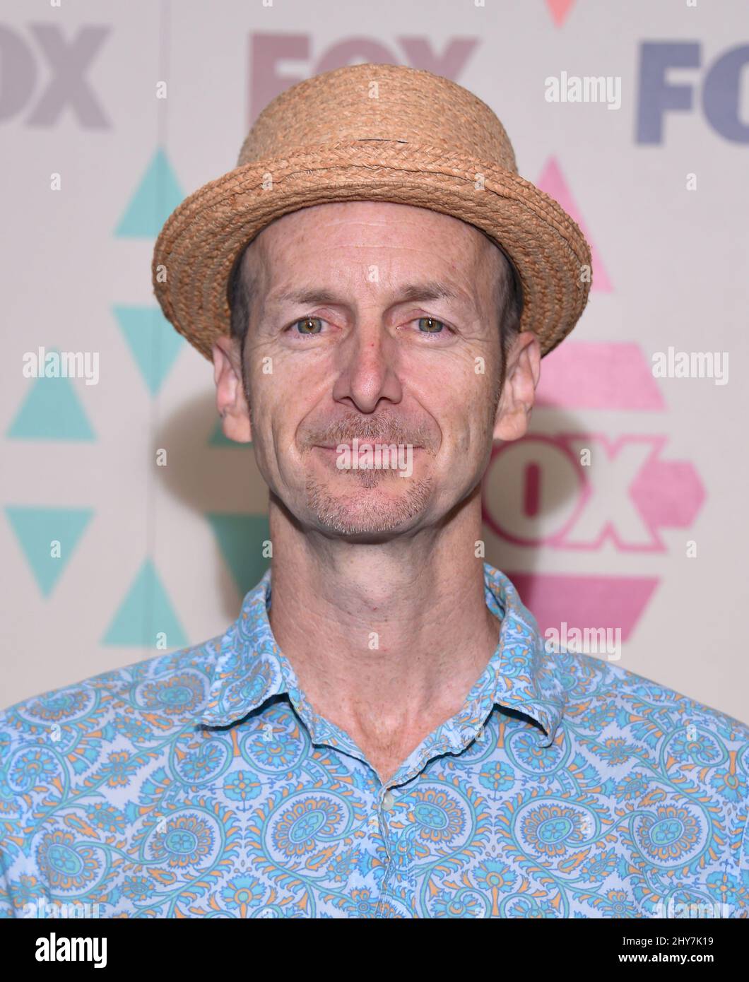 Denis O'Hare attending FOX - Summer 2015 TCA's held at the SoHo House, Los Angeles Stock Photo ...