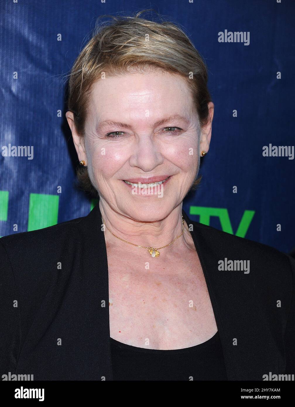 Dianne Wiest attending the CBS, The CW and Showtime Summer TCA press ...