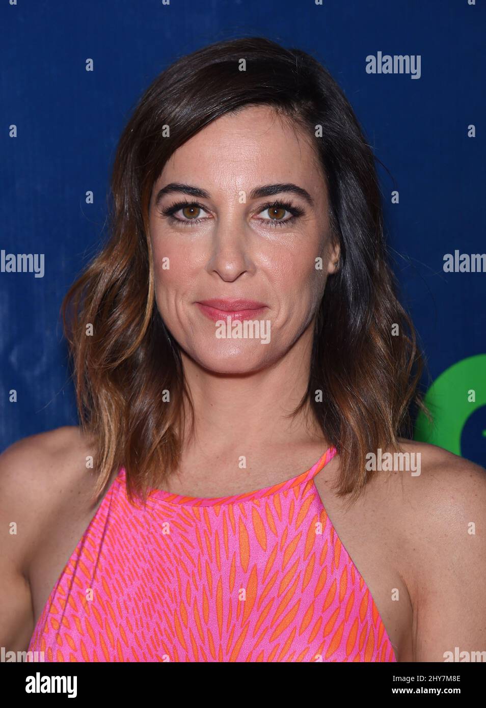 Lindsay Sloane attending the CBS, The CW and Showtime Summer TCA press ...