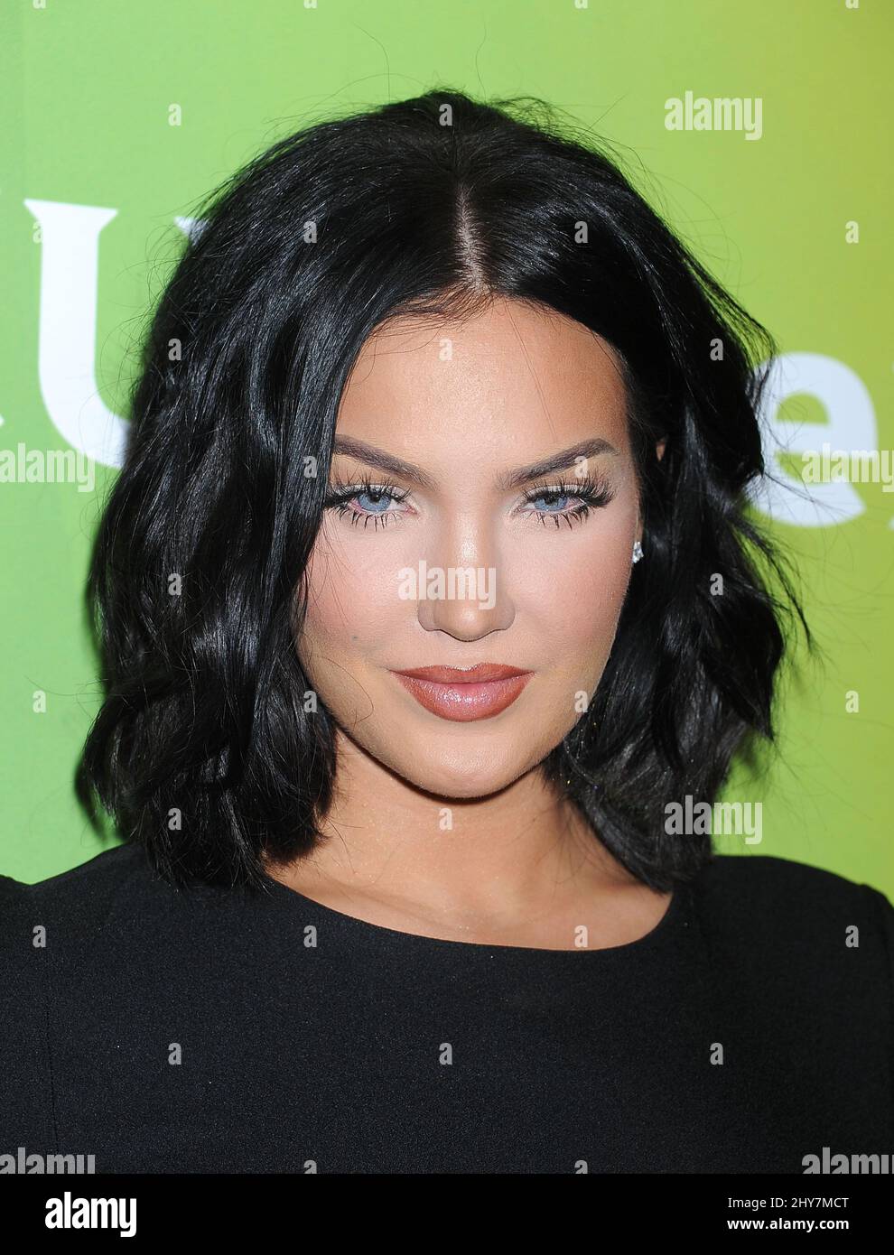 Natalie Halcro attending the NBCUniversal Summer 2015 TCA's held at the ...