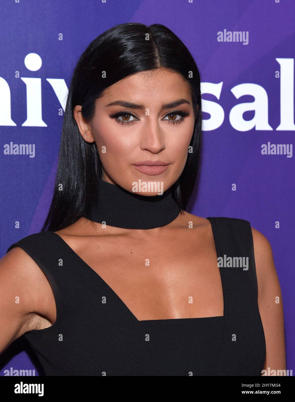 Nicole Williams attends the NBCUniversal - Summer 2015 TCA's held at ...