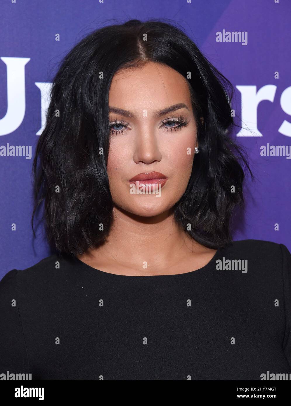Natalie Halcro attends the NBCUniversal - Summer 2015 TCA's held at the ...