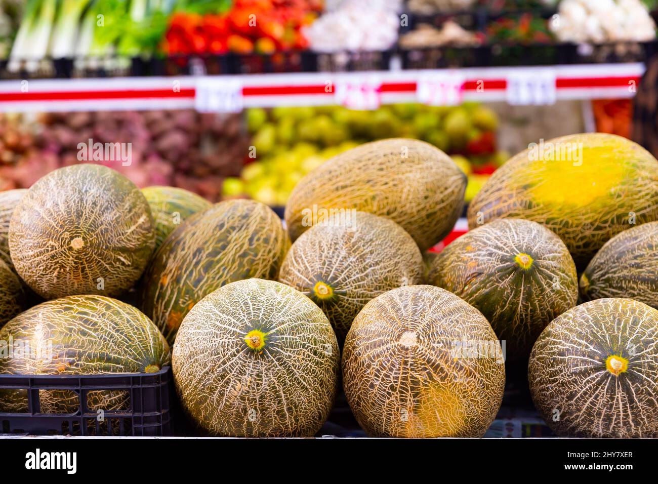 Rock melon plant hi-res stock photography and images - Alamy