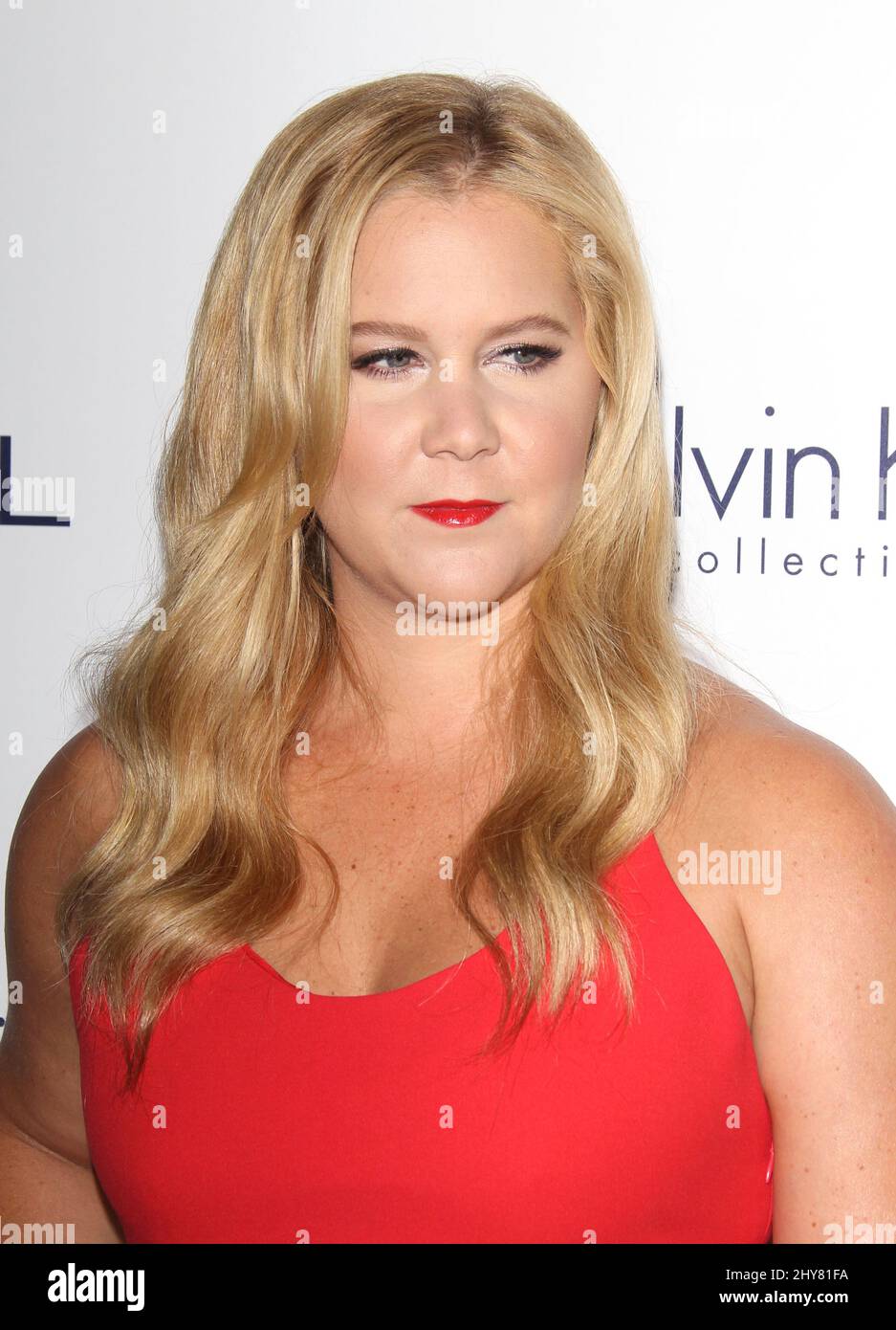 Amy Schumer 22nd Annual ELLE Women In Hollywood Awards held at the Four ...