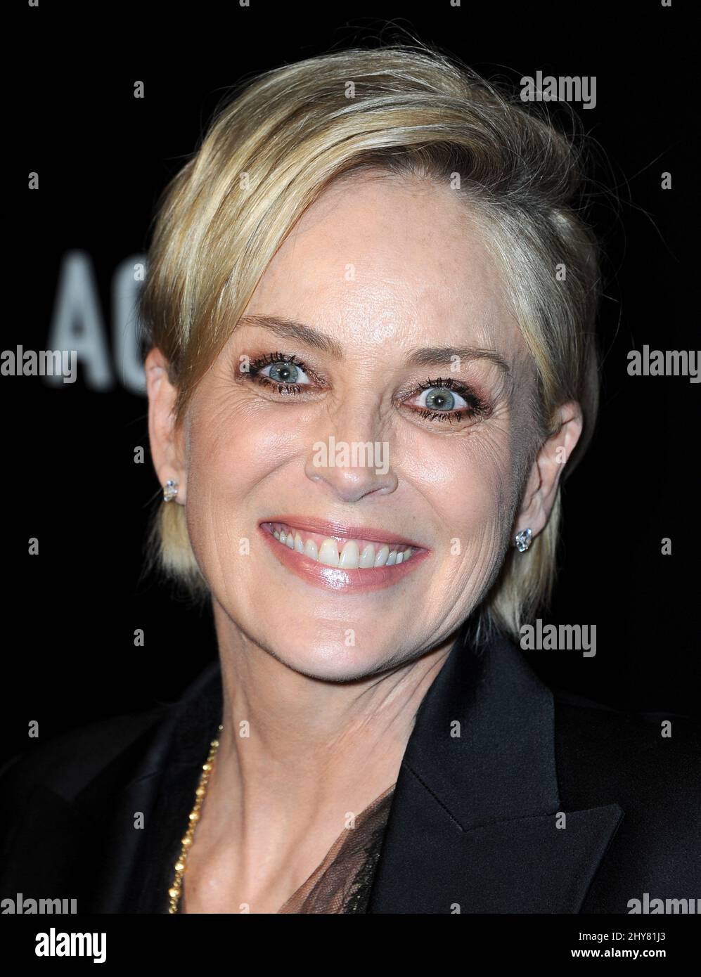Sharon Stone TNT's "Agent X" Premiere held at The London Hotel Stock ...