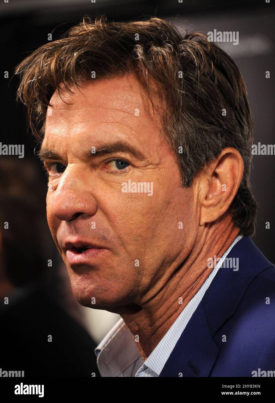 Dennis Quaid attending "The Art Of More" premiere held at Sony Pictures ...