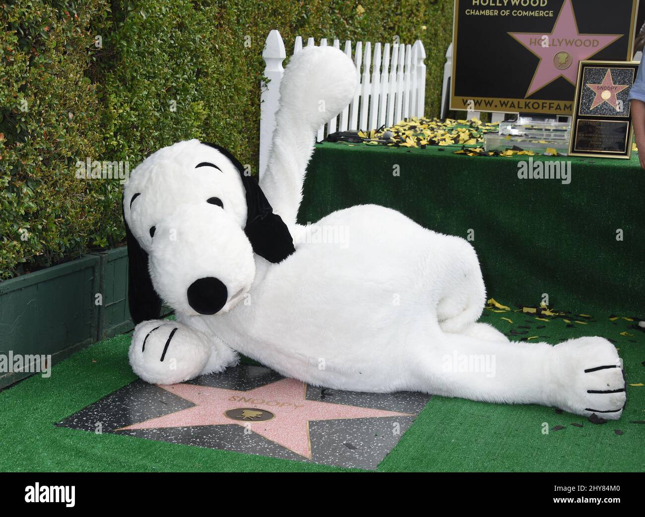 Snoopy Snoopy Hollywood Walk of Fame Star Ceremony. His star was placed ...