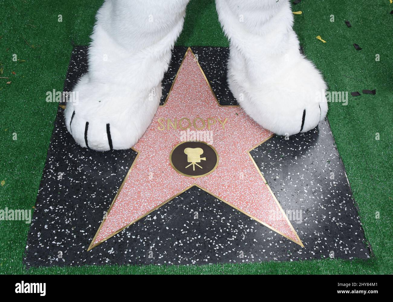 Snoopy star snoopy hollywood walk hi-res stock photography and images ...