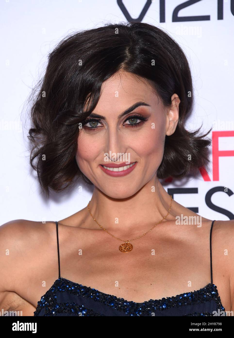 Gabriele Valensi attending the AFI Fest 2015 Closing Gala: "The Big ...