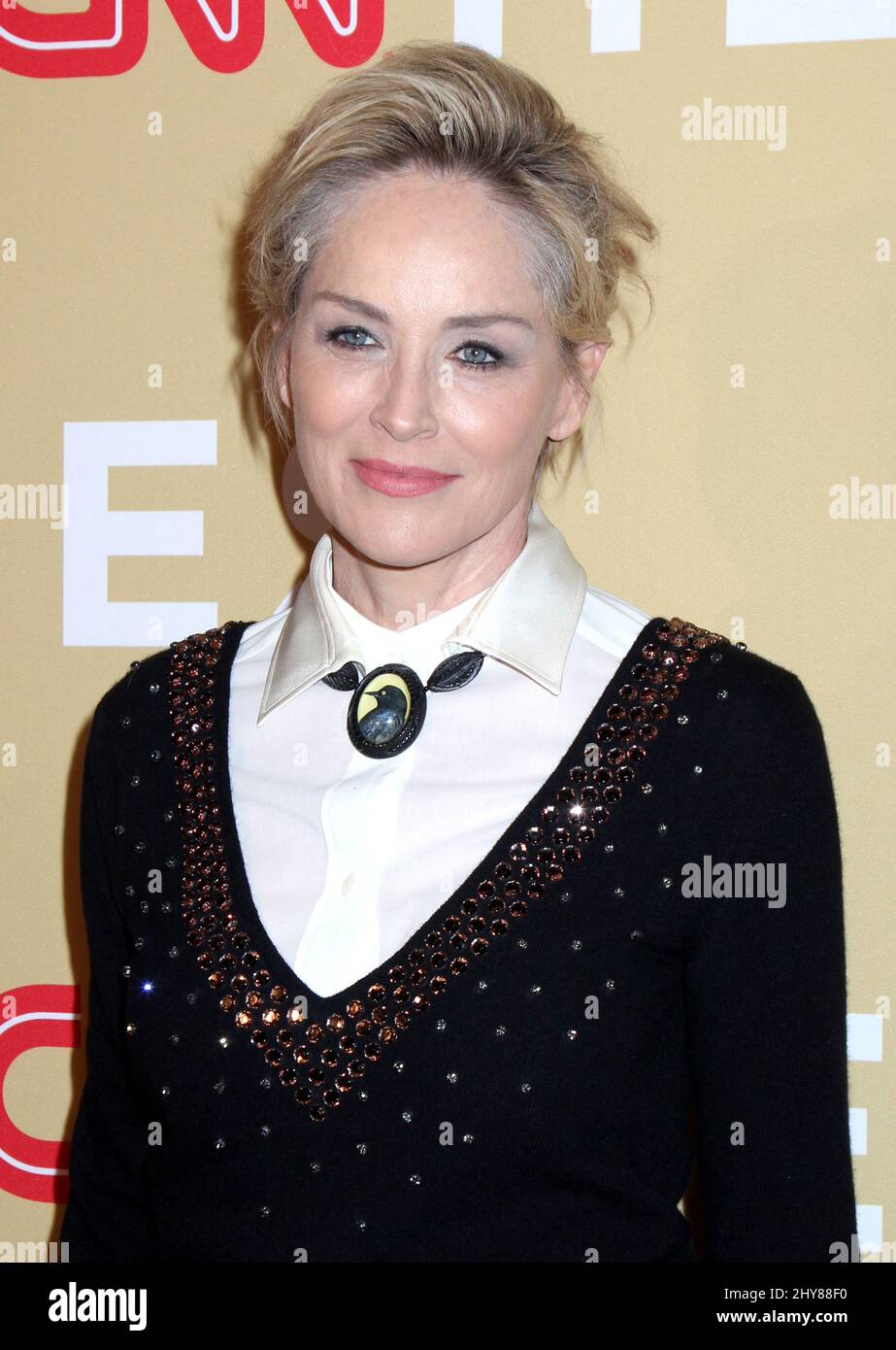 Sharon Stone attending the CNN Heroes All-Star Tribute, held at the ...