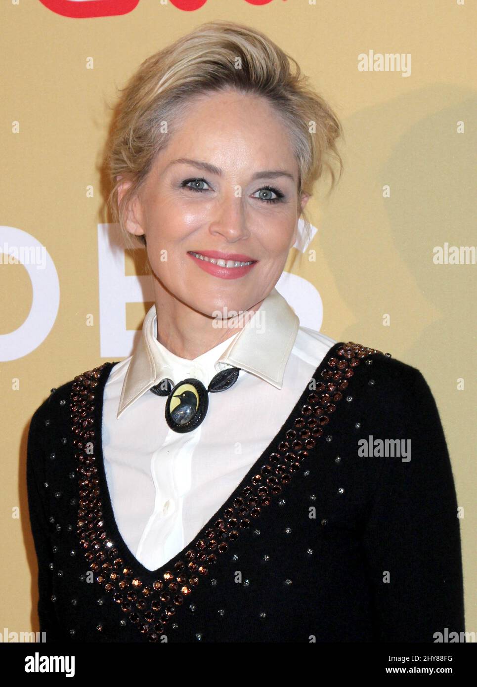 Sharon Stone attending the CNN Heroes All-Star Tribute, held at the ...