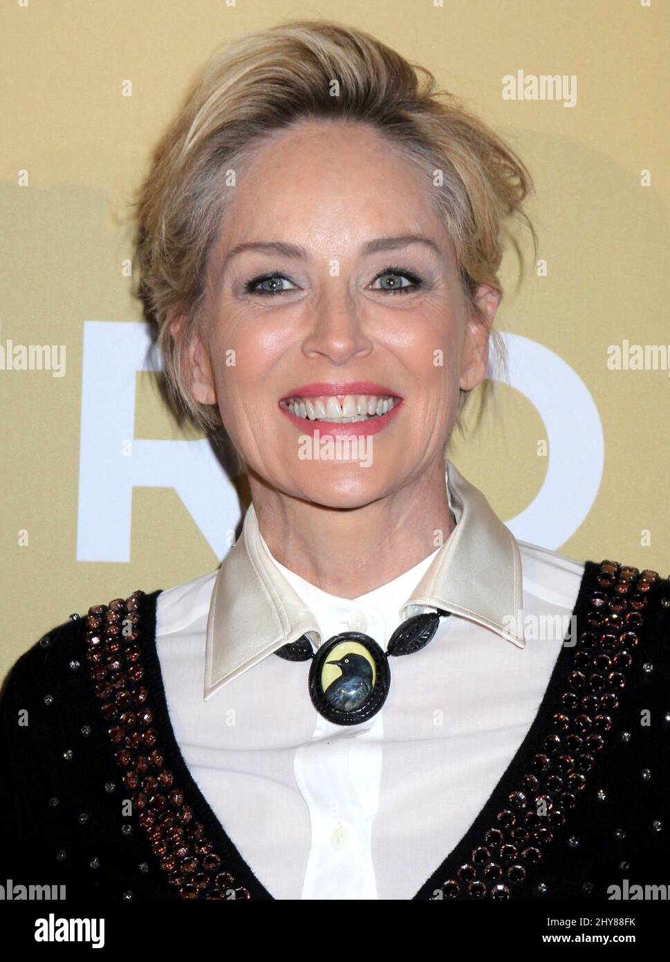 Sharon Stone attending the CNN Heroes All-Star Tribute, held at the ...