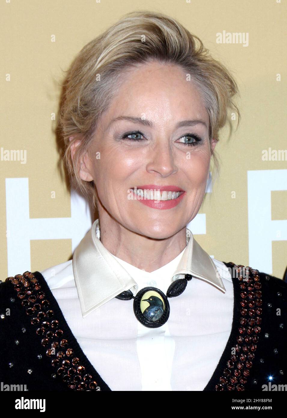 Sharon Stone attending the CNN Heroes All-Star Tribute, held at the ...