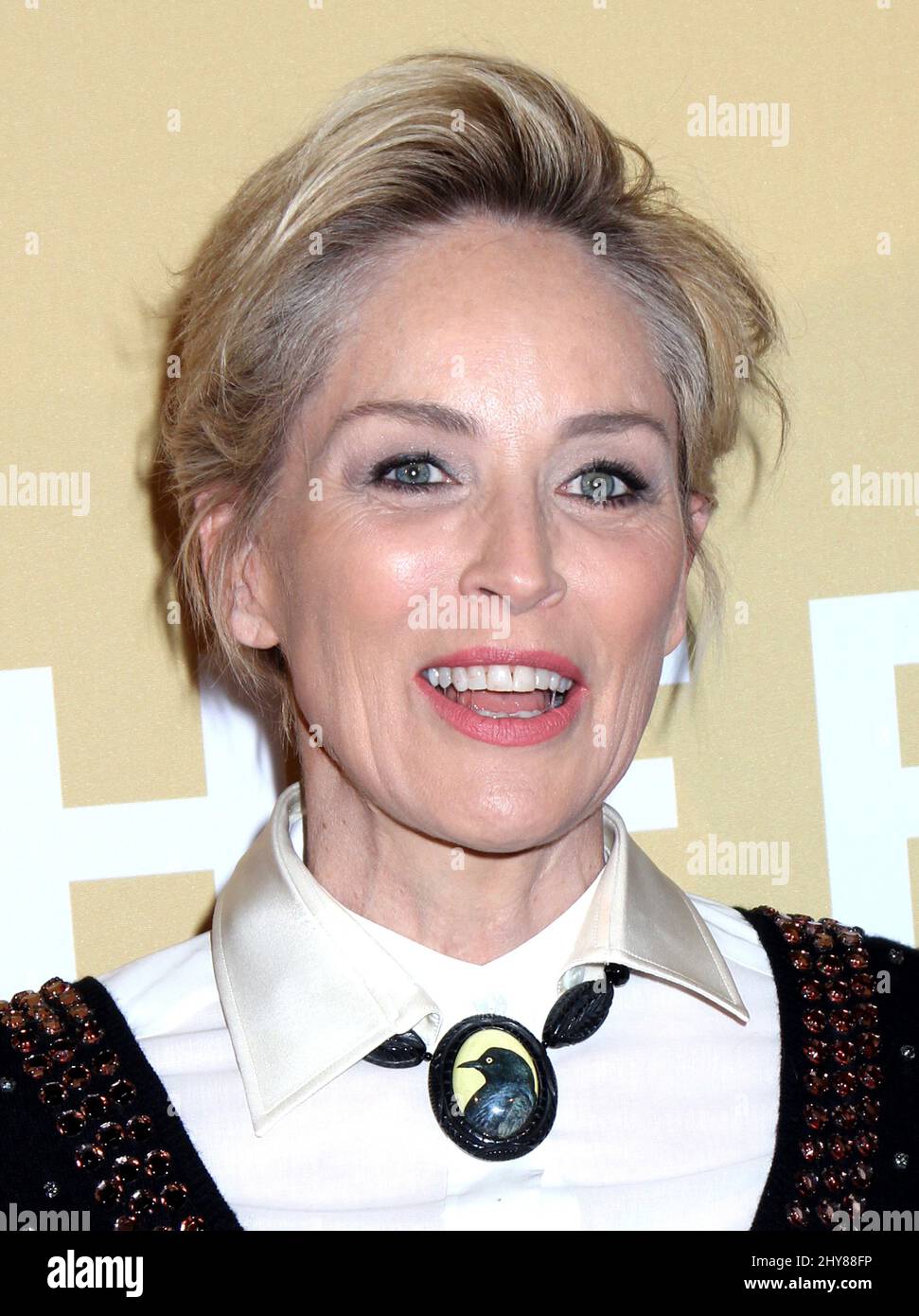 Sharon Stone attending the CNN Heroes All-Star Tribute, held at the ...